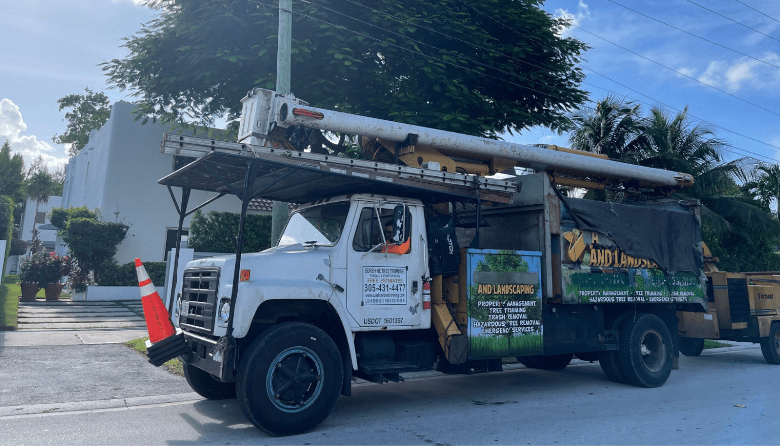 Tree Trimming Service Miami - Sunshine Tree Trimming Miami