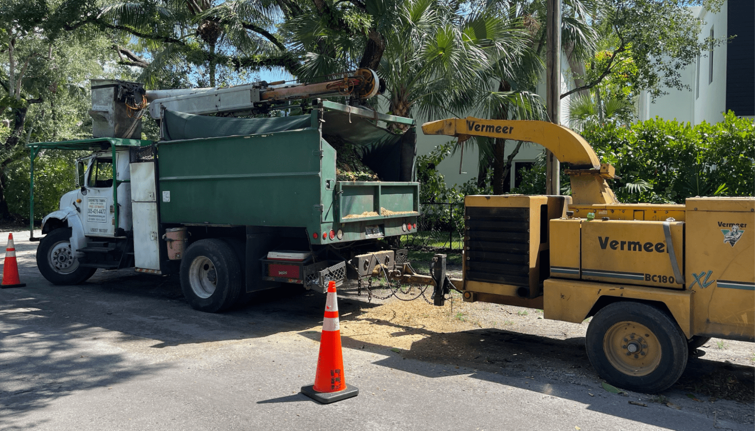 Tree Trimming Service Miami - Sunshine Tree Trimming Miami
