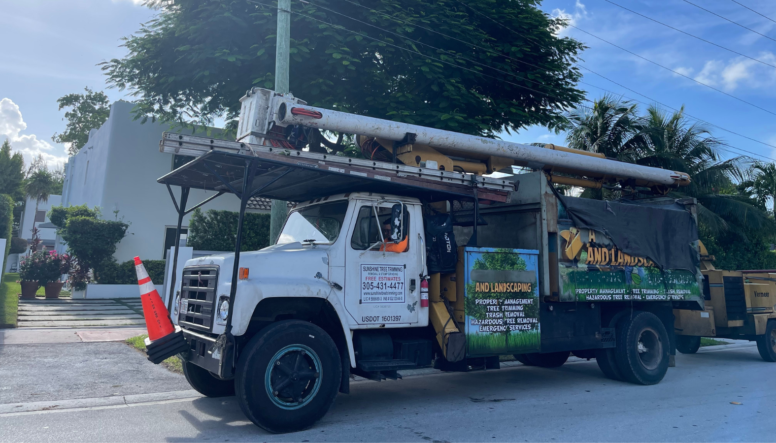 Tree Trimming Service Miami - Sunshine Tree Trimming Miami