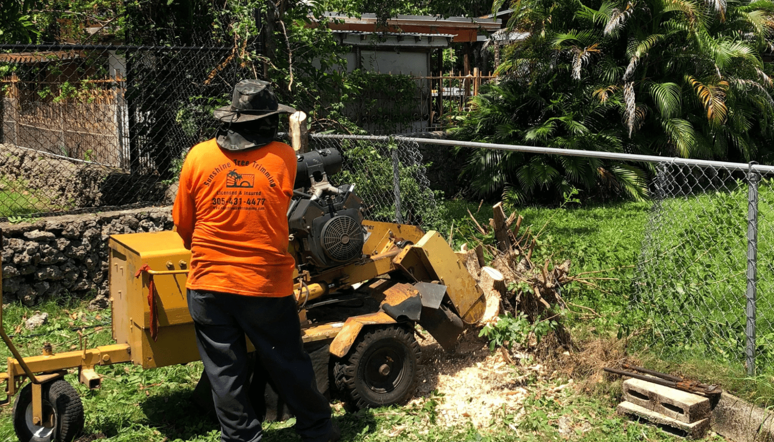 Tree Trimming Service Miami - Sunshine Tree Trimming Miami